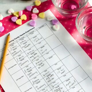 Dissolving Candy Hearts Experiment