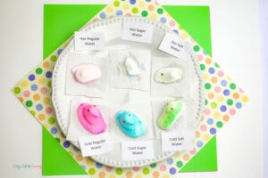 Simple Dissolving Peeps Science Experiment