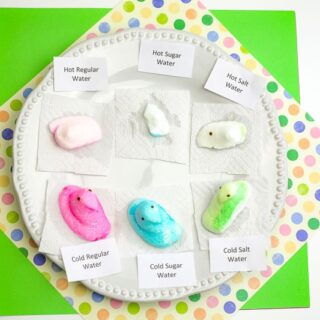Simple Dissolving Peeps Science Experiment