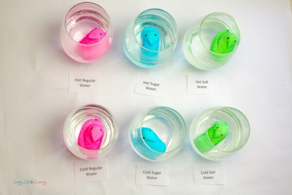 Simple Dissolving Peeps Science Experiment