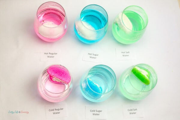 Simple Dissolving Peeps Science Experiment