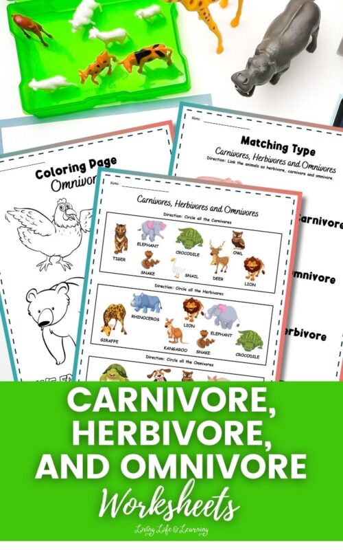 Fun Carnivore Herbivore Omnivore Worksheets