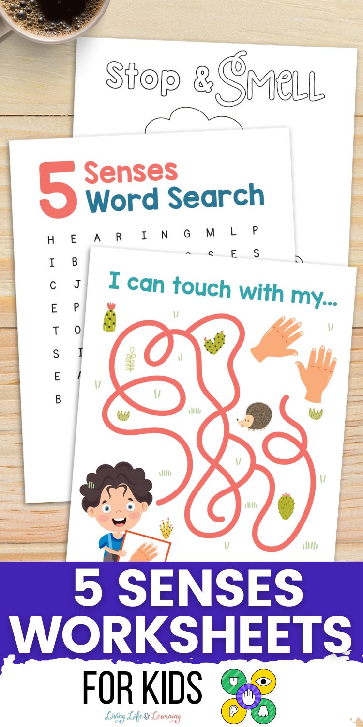 Fun 5 Senses Worksheets for Kids