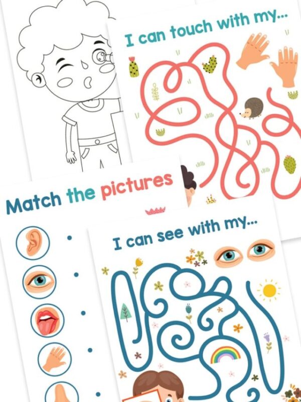 My Body Activities for Kindergarten