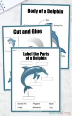 Educational and Fun Printable Dolphin Worksheets for Kids
