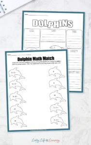 Educational and Fun Printable Dolphin Worksheets for Kids