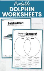 Educational and Fun Printable Dolphin Worksheets for Kids
