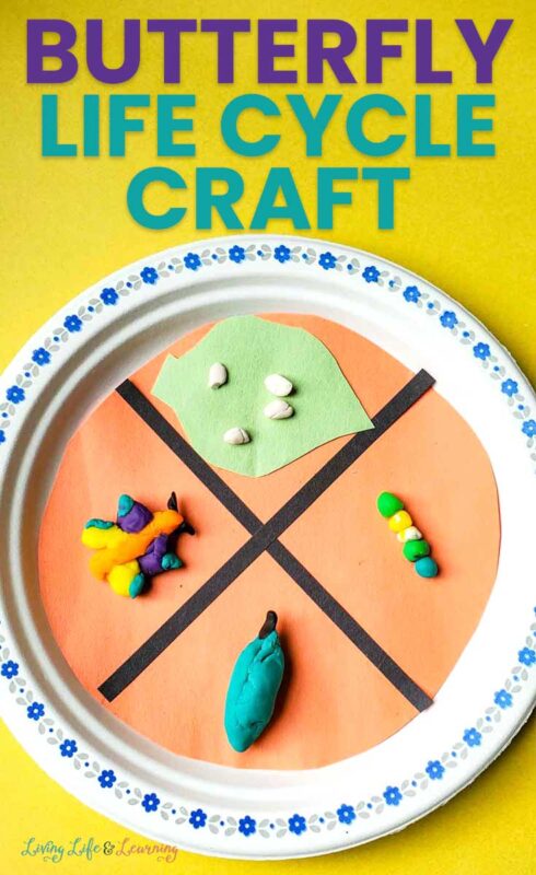 Fun Life Cycle Crafts