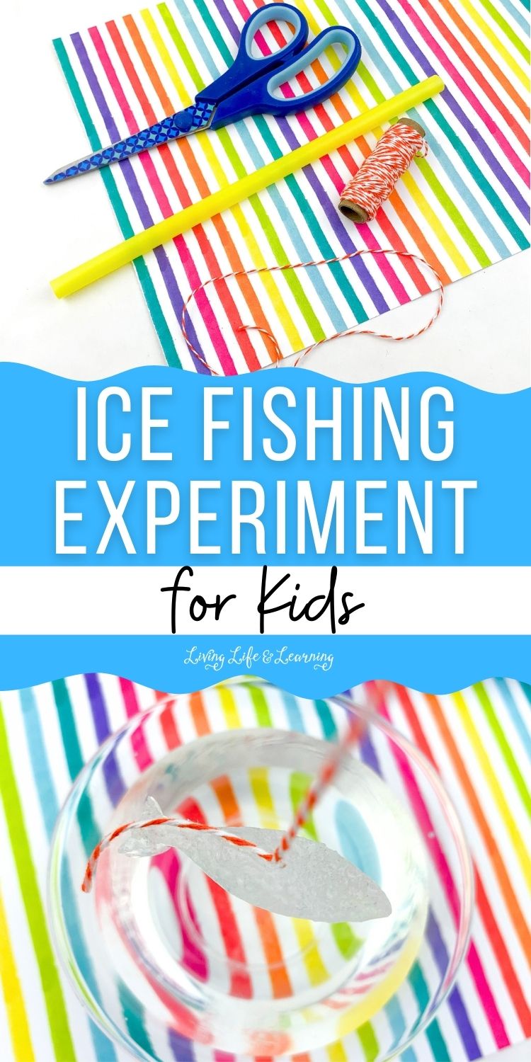 Ice Fishing Experiment for Kids