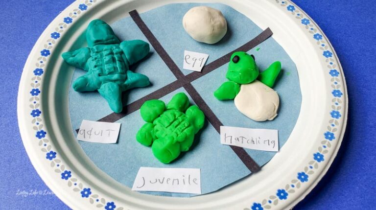 Ocean Crafts for Elementary Students