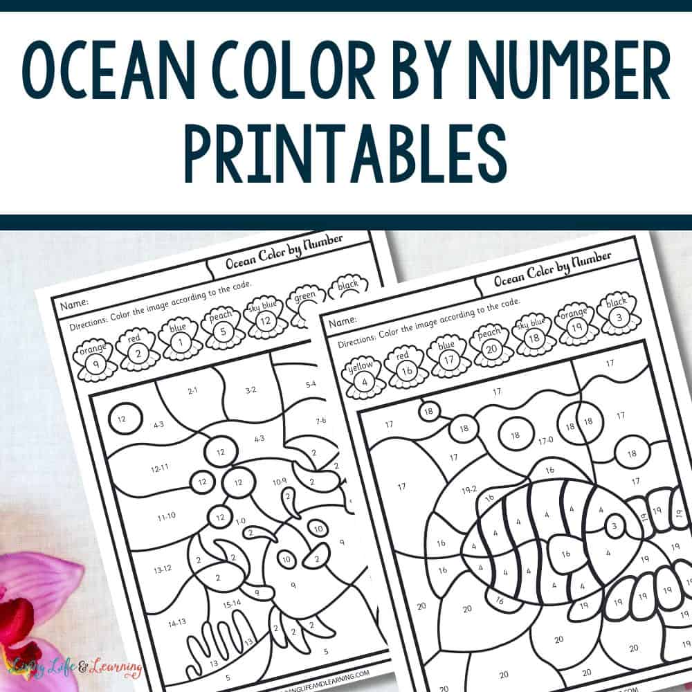 Ocean Worksheets for Elementary Themed Lessons