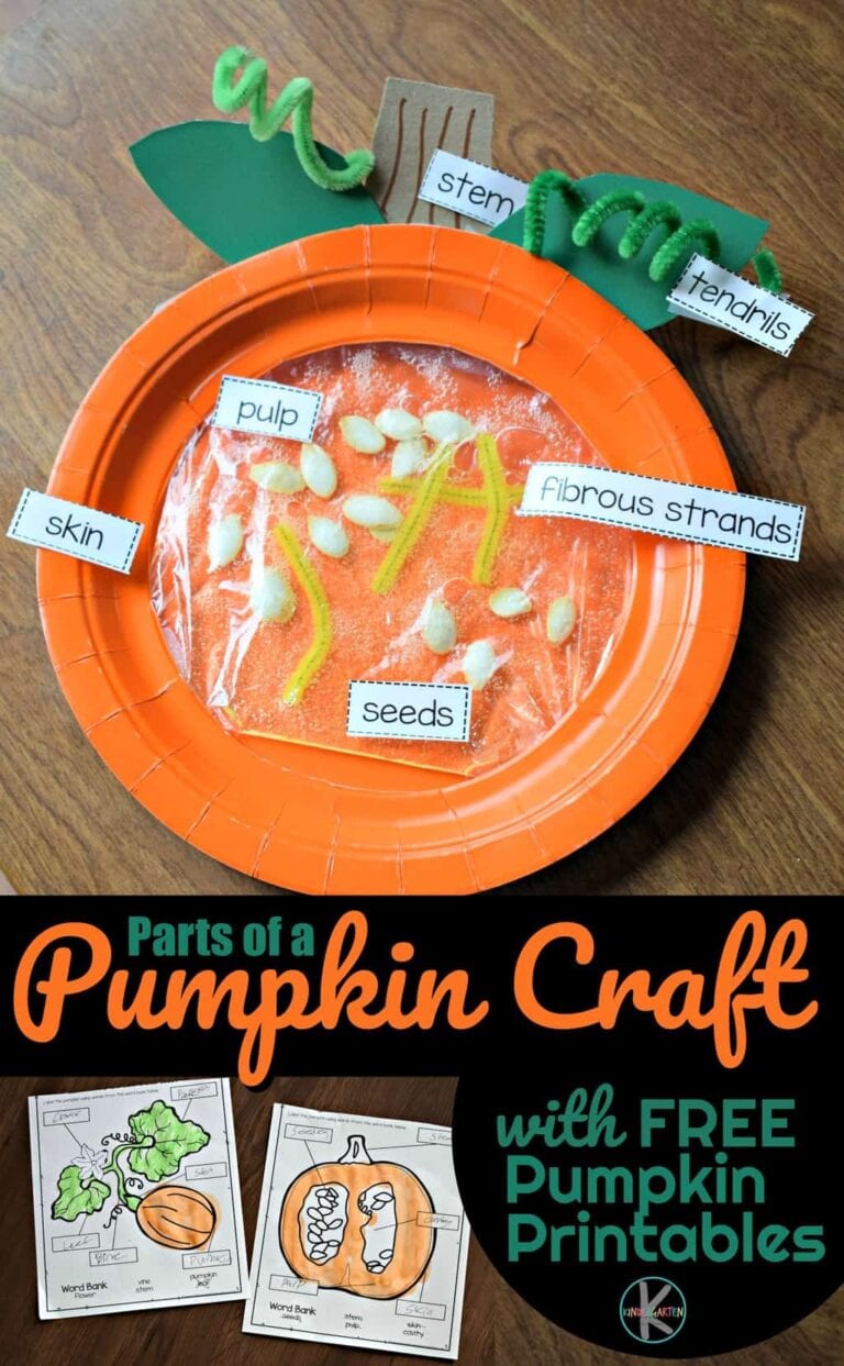 Pumpkin Science Experiments: Fall Learning Fun for Kids