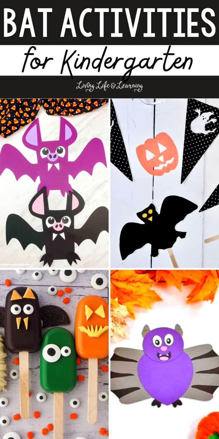 Bat Activities for Kindergarten
