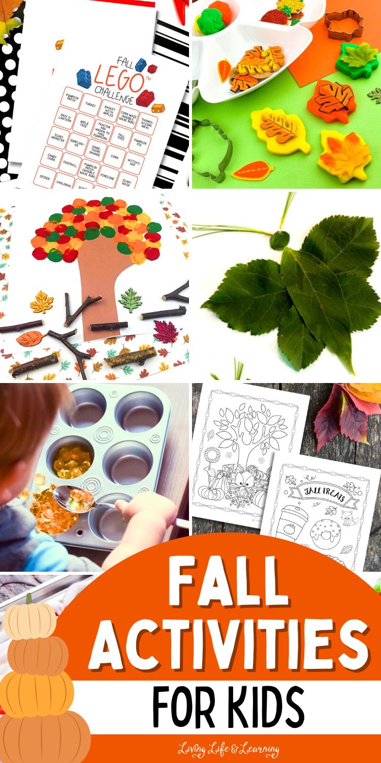 Fall Activities for Kids: Fun and Engaging Ideas for the Season