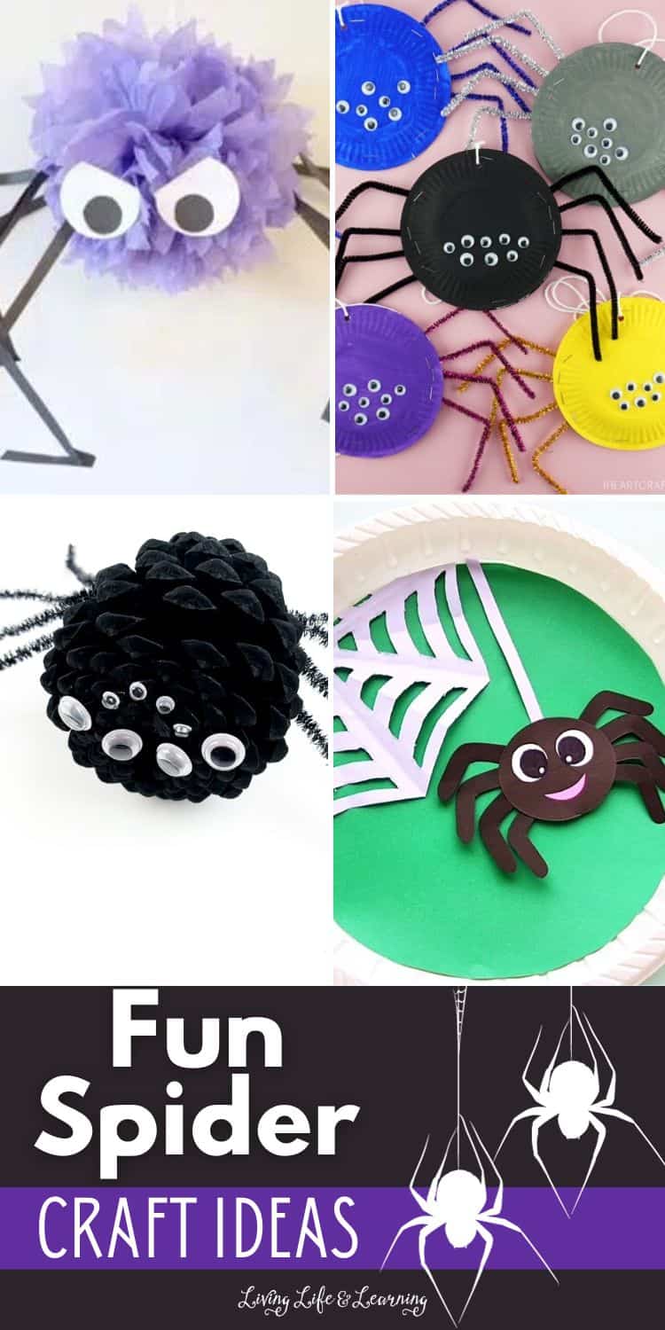 Fun Spider Craft Ideas