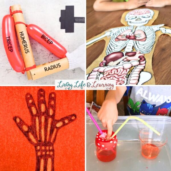 Interactive Learning with Human Body Activities for Kindergarten