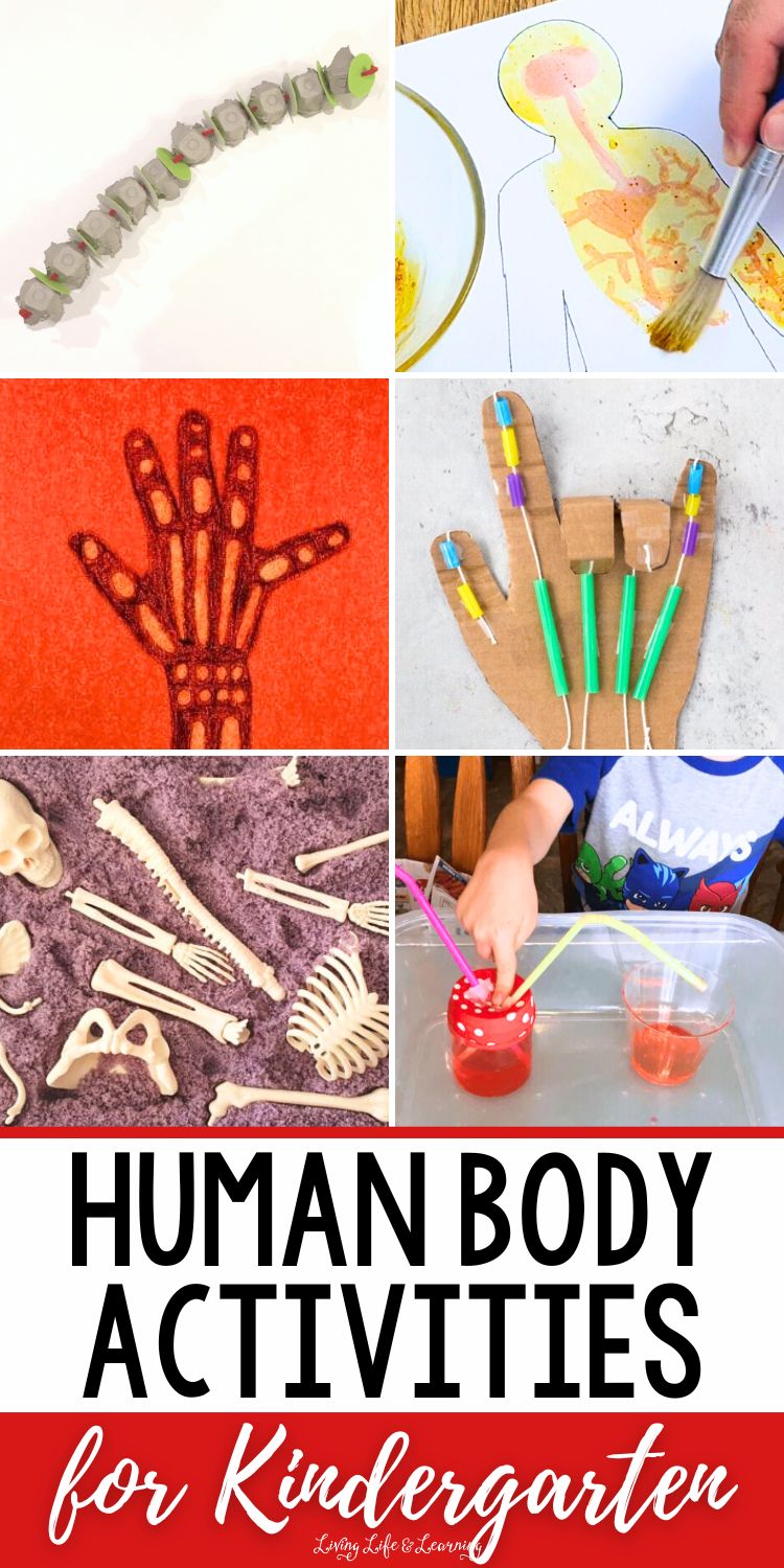 Interactive Learning with Human Body Activities for Kindergarten