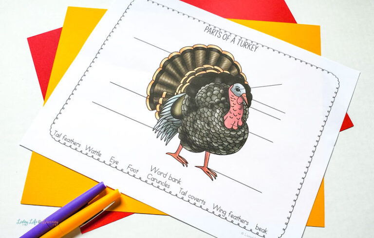 Parts of a Turkey Worksheet: Fun Thanksgiving Learning Activity