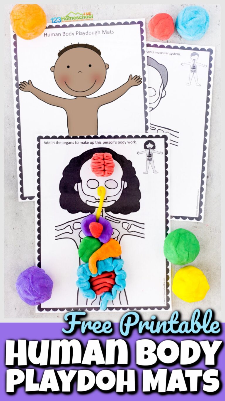 Interactive Learning with Human Body Activities for Kindergarten