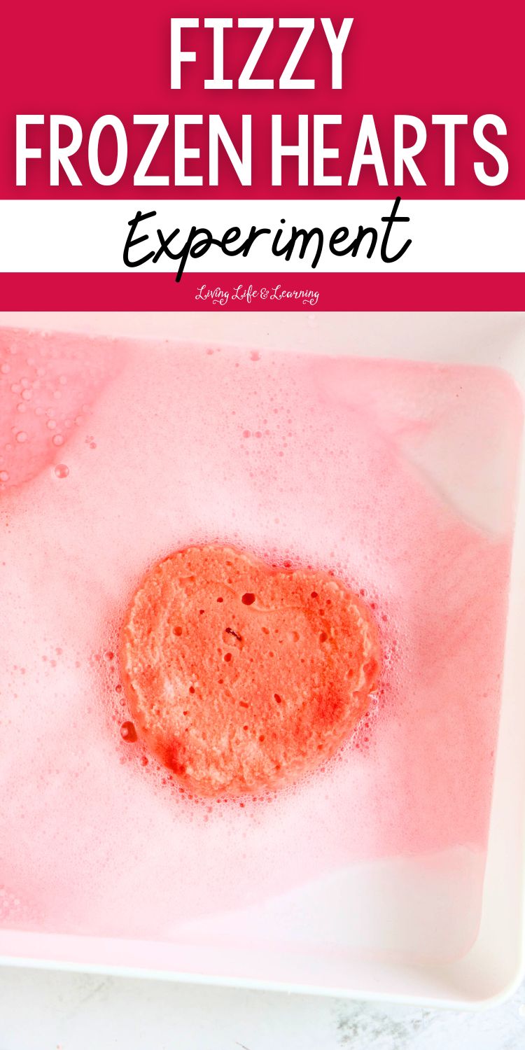 Fizzy Frozen Hearts Experiment