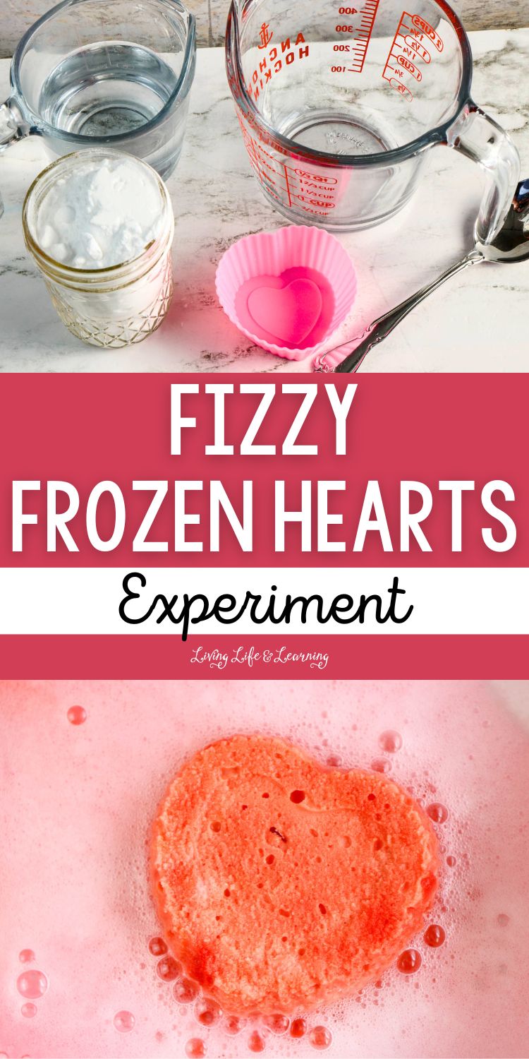 Fizzy Frozen Hearts Experiment