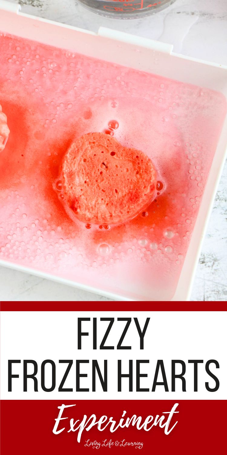 Fizzy Frozen Hearts Experiment