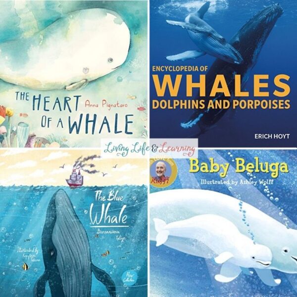 Books About Whales for Kids