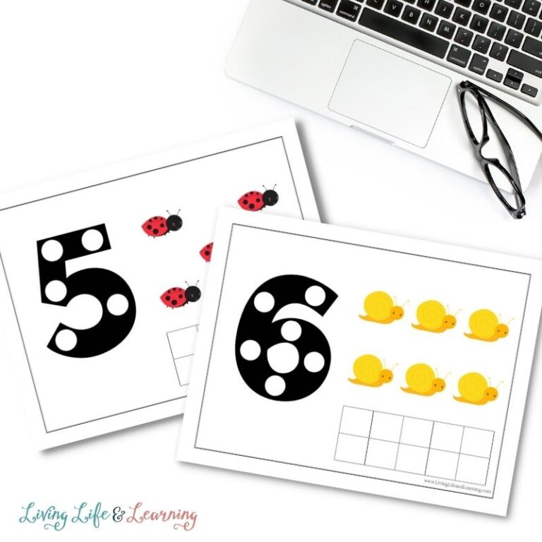 Bug Counting Mats