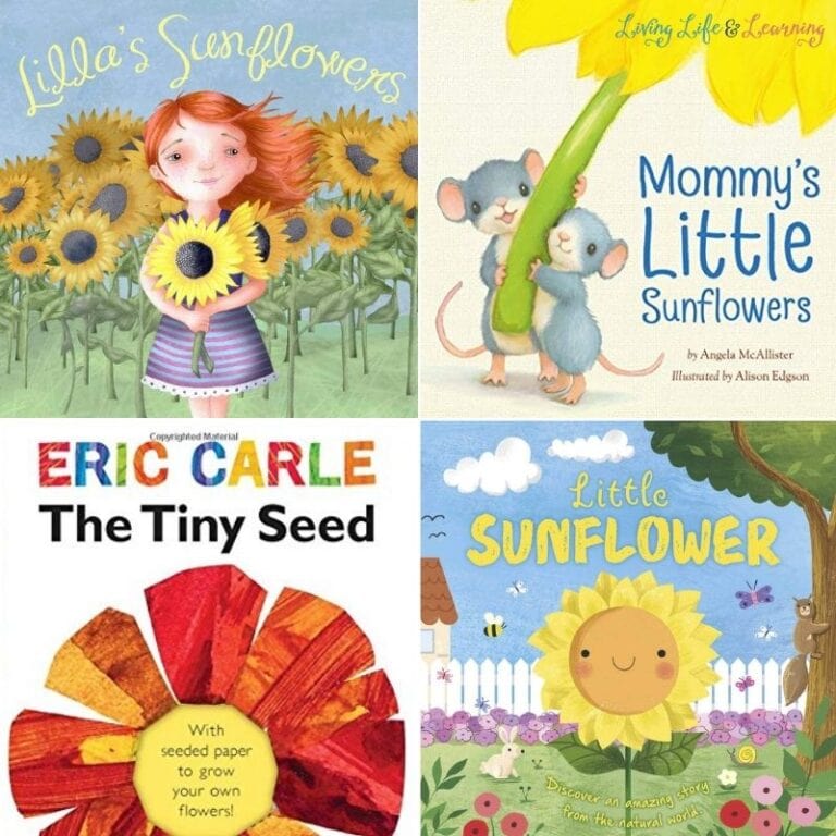 Best Sunflower Books for Kids