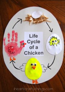 Fun Farm Science Activities for Preschoolers
