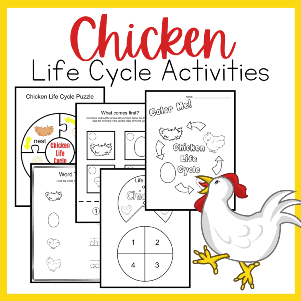 Chicken Life Cycle Activities for Preschool