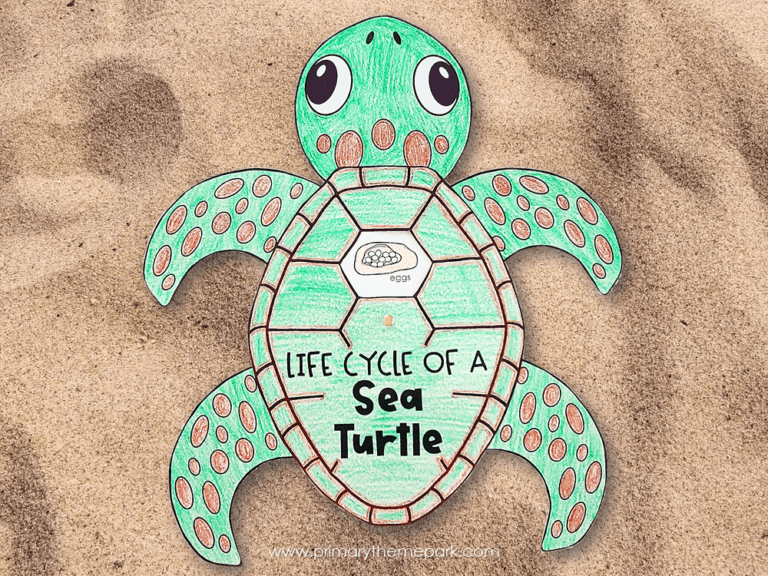 Sea Turtle STEM Activities: Fun Ocean Learning Ideas for All Ages