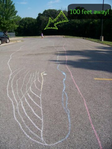 Whale Activities for Preschoolers