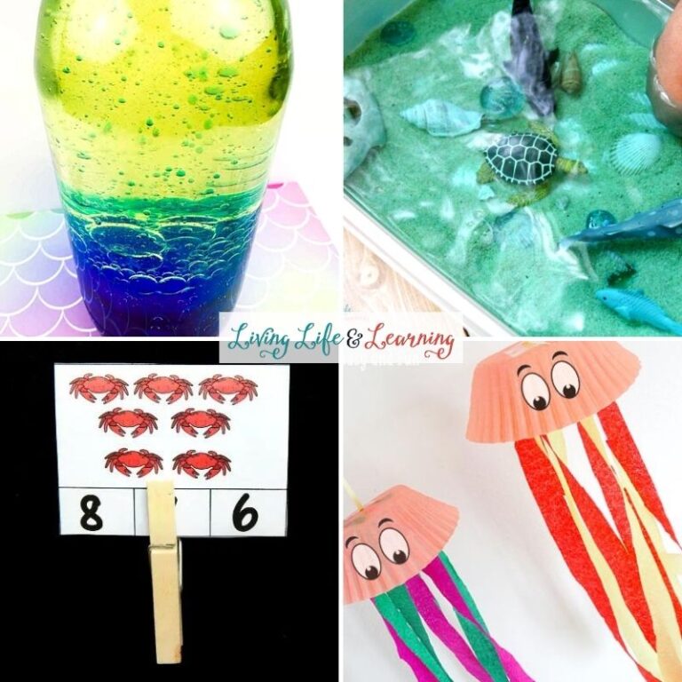 Ocean Activities for Kindergarten