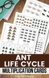 Free Printable Ant Life Cycle Multiplication Cards For Fun Learning