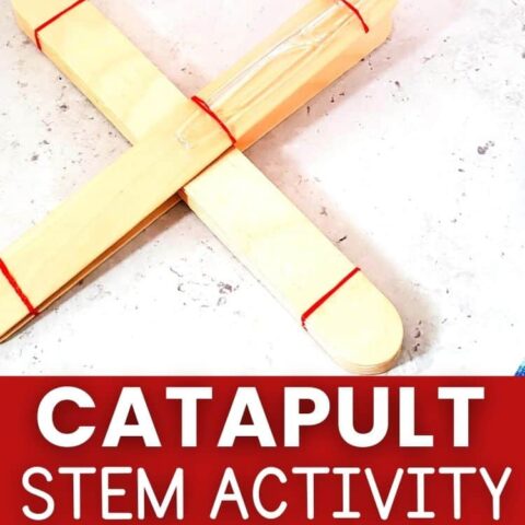 Catapult STEM Activity with Popsicle Sticks