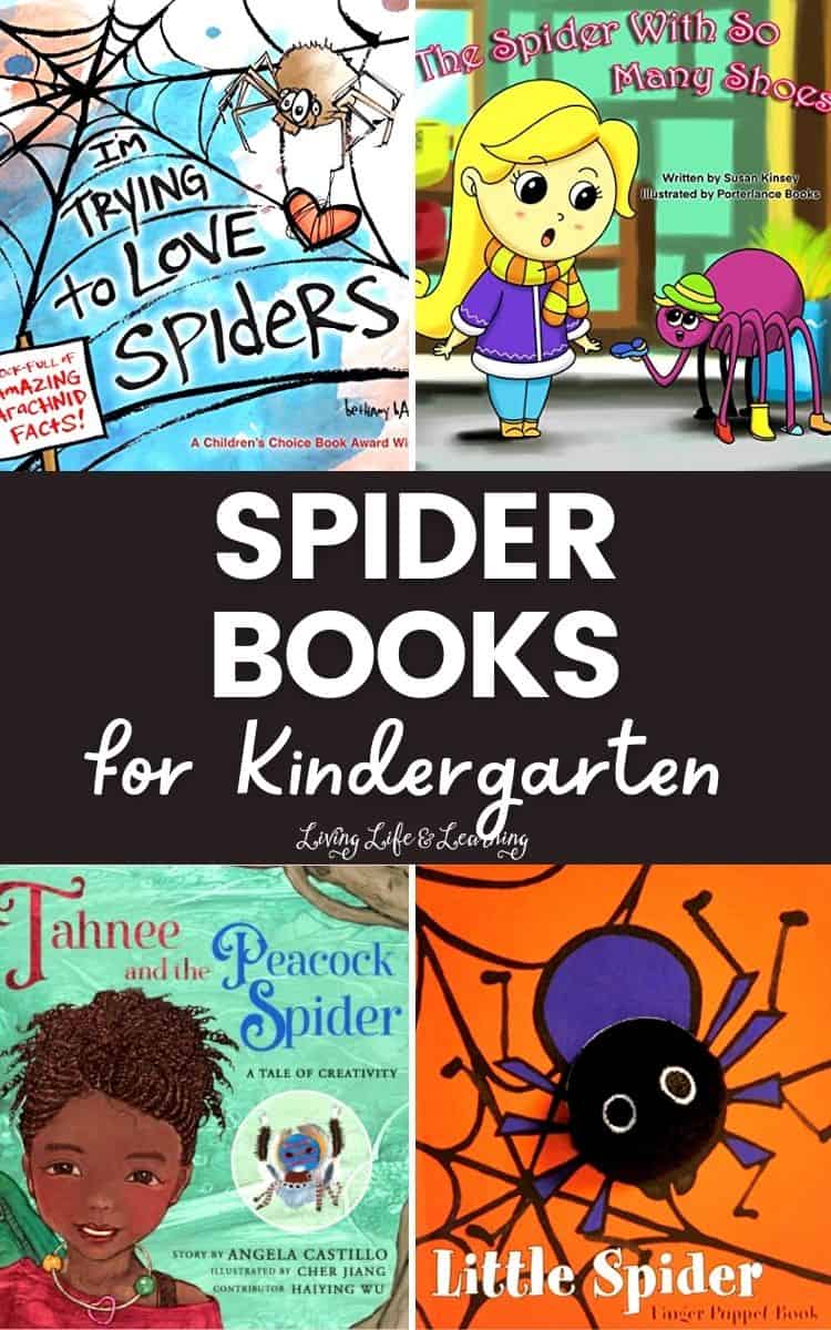 Spider Books For Kindergarten Spider Books For Kindergarten