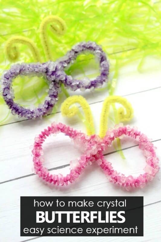 Butterfly STEM Activities to Explore Life Cycles