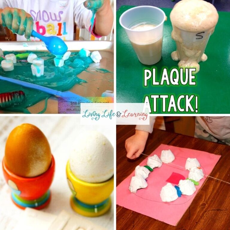 Dental Health STEM Activities