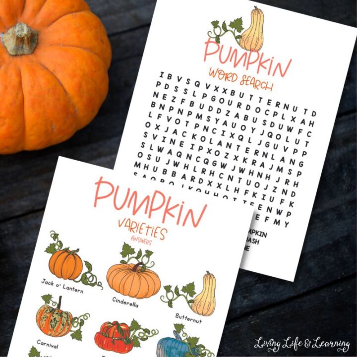 Pumpkin Worksheets for Fun Fall Learning