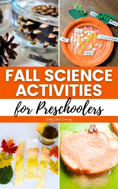 Fall Science Activities for Preschoolers