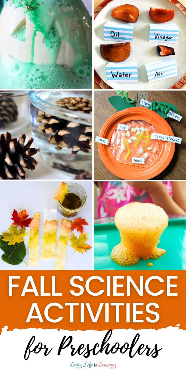 Fall Science Activities for Preschoolers