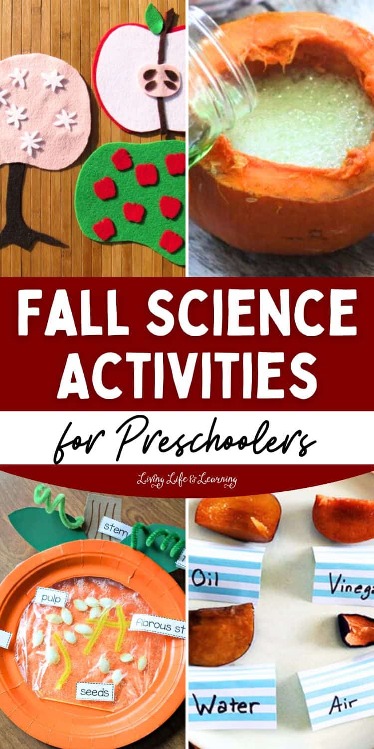 Fall Science Activities for Preschoolers
