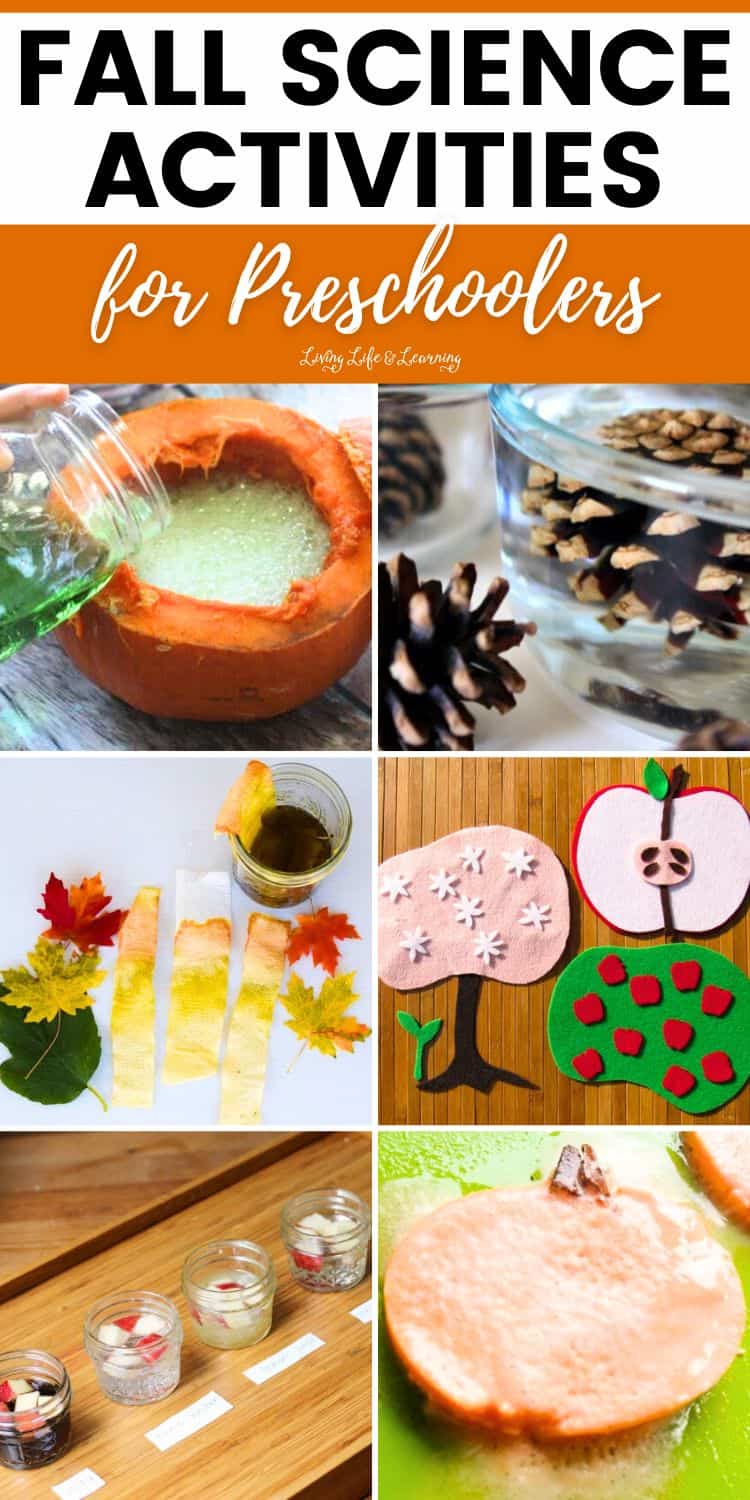 Fall Science Activities for Preschoolers