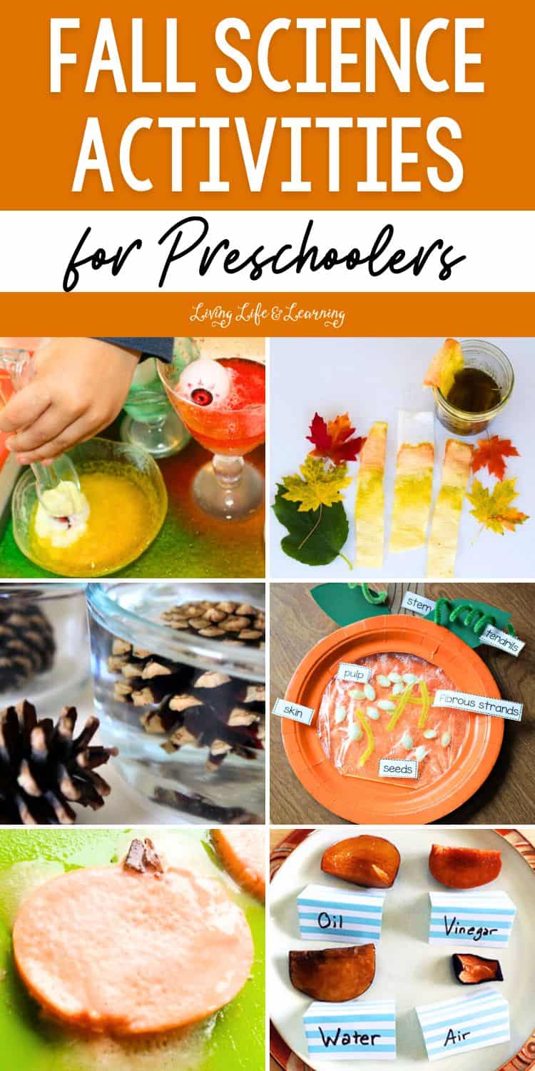 Fall Science Activities for Preschoolers