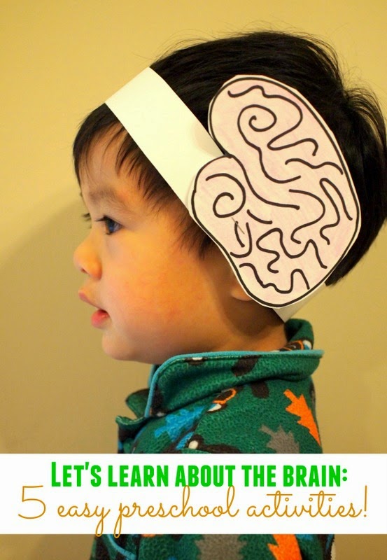 Brain Crafts For Kids Brain Crafts For Kids