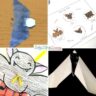 Engaging Bat STEM Activities for Kids