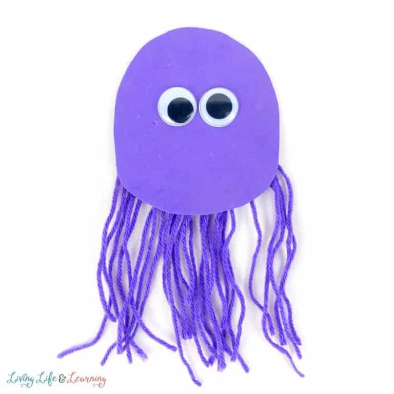 Octopus Yarn Craft