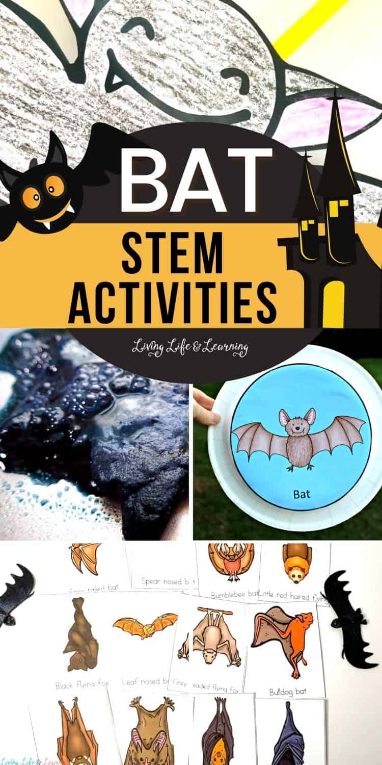 Engaging Bat STEM Activities For Kids Engaging Bat STEM Activities For Kids