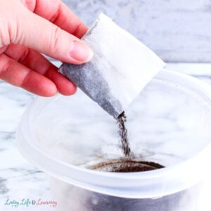 Tea Bag Ghost Experiment: A Fun Halloween Science Activity